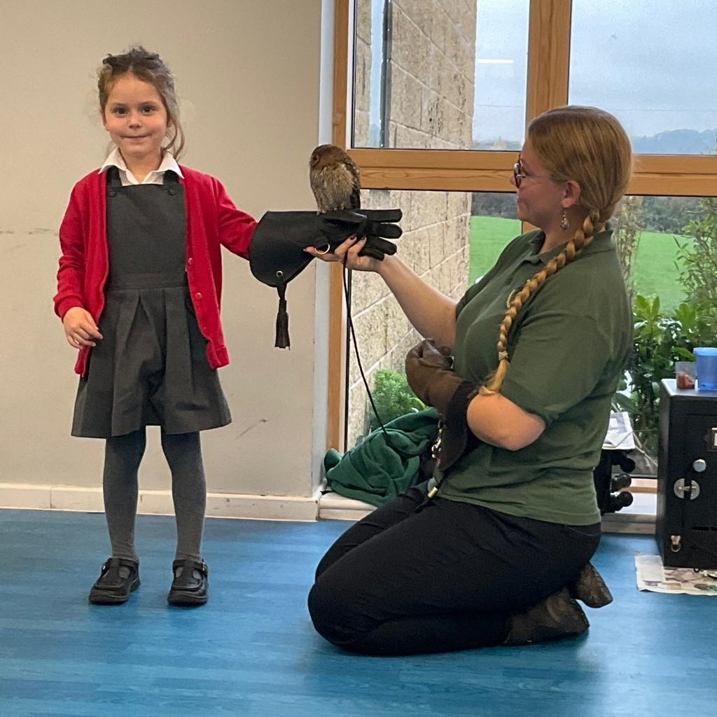 Autumn 2: Nocturnal Animals 2022-23 | Calverley CE Primary School