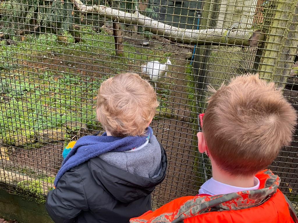 EYFS - Geography Portfolio | Calverley CE Primary School