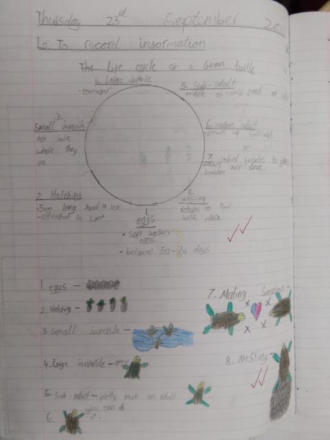 Y5 - Science Portfolio | Calverley CE Primary School